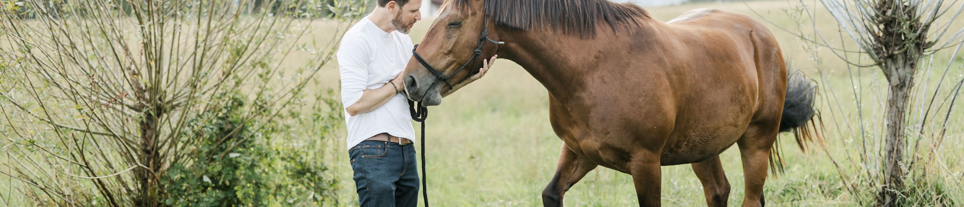 Angebot - Ananda Flow